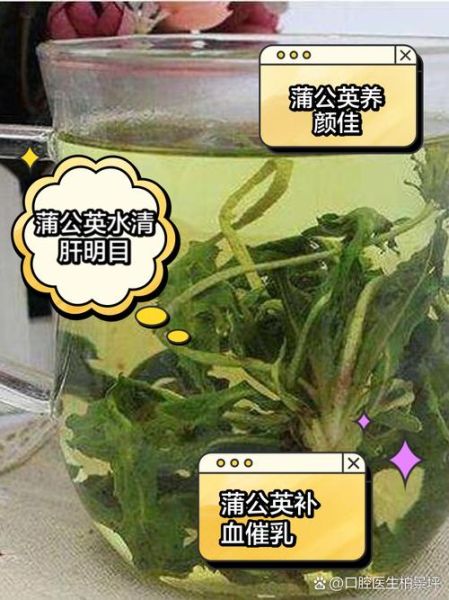 蒲公英泡水喝能减肥吗_蒲公英茶减肥效果好吗-第2张图片-山城妙识