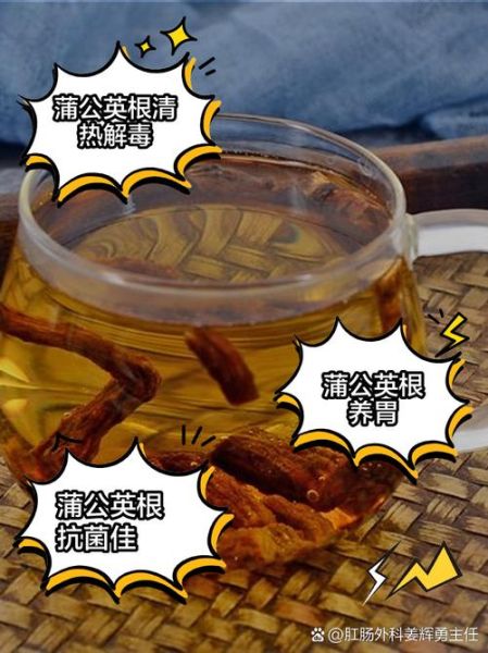 蒲公英泡水喝能减肥吗_蒲公英茶减肥效果好吗-第3张图片-山城妙识