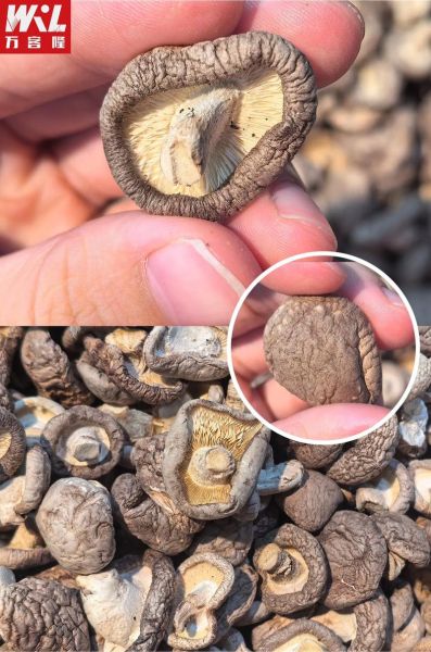 干香菇保质期多久_干香菇怎么保存-第3张图片-山城妙识