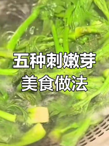 刺嫩芽怎么做好吃_刺嫩芽的家常做法-第1张图片-山城妙识