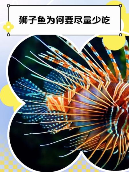 狮子鱼怎么养_狮子鱼有毒吗-第3张图片-山城妙识