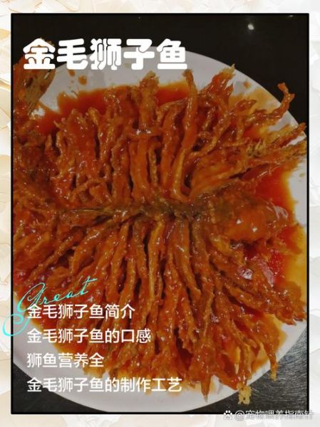 狮子鱼怎么养_狮子鱼有毒吗-第1张图片-山城妙识