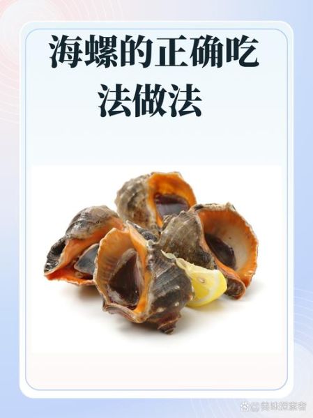 水煮大海螺开水煮多久_海螺煮多久才熟-第3张图片-山城妙识