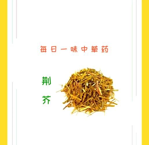 荆芥长什么样子_荆芥与薄荷的区别-第3张图片-山城妙识