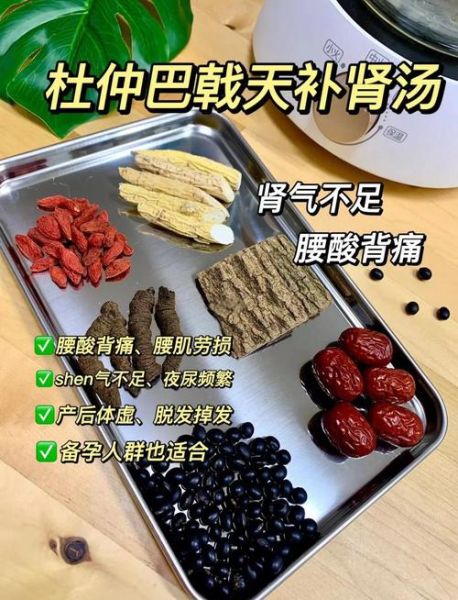 男人补肾壮阳汤有哪些_补肾壮阳汤怎么做-第2张图片-山城妙识