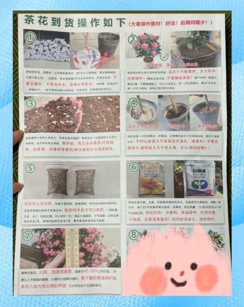 山茶树怎么养_山茶树多久开花-第1张图片-山城妙识