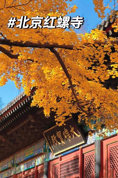 北京有什么好玩的地方_北京旅游必去景点推荐-第2张图片-山城妙识