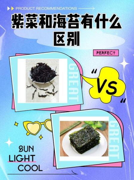 海苔是紫菜吗_紫菜和海苔的区别-第3张图片-山城妙识 海苔是紫菜吗_紫菜和海苔的区别-第3张图片-山城妙识