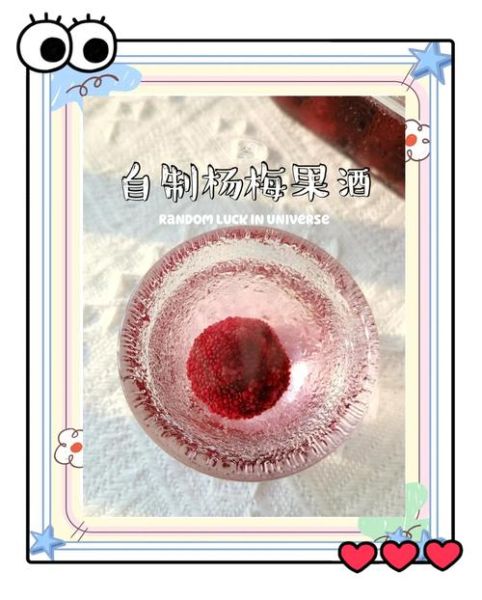 杨梅酒怎么做_杨梅酒制作视频详细步骤-第1张图片-山城妙识