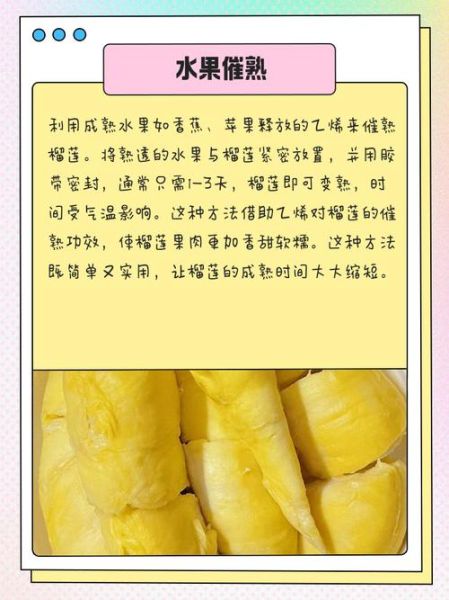 榴莲催熟需要几天_榴莲怎么判断熟没熟-第3张图片-山城妙识