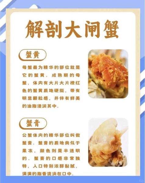 蟹膏是什么_蟹膏和蟹黄的区别-第2张图片-山城妙识 蟹膏是什么_蟹膏和蟹黄的区别-第2张图片-山城妙识