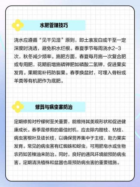 柠檬树盆栽怎么养_柠檬树盆栽多久结果-第3张图片-山城妙识