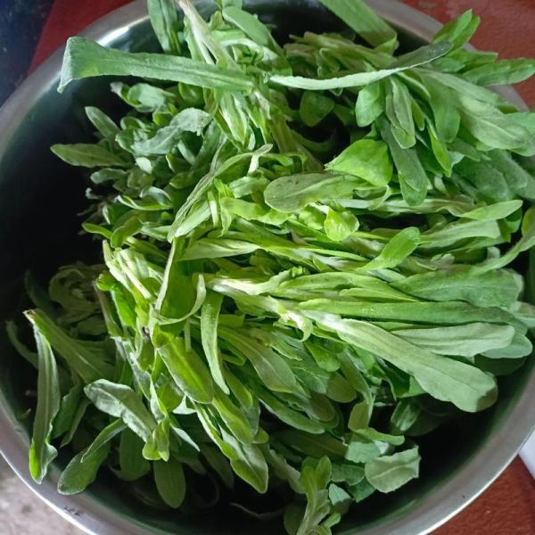 清明粑怎么做_清明粑的窍门有哪些-第2张图片-山城妙识