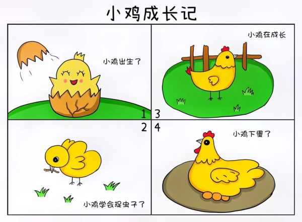 小鸡简笔画怎么画_小鸡简笔画步骤图解-第1张图片-山城妙识