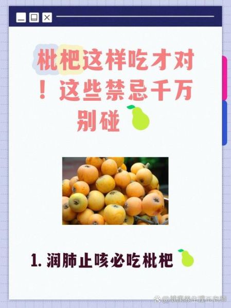 枇杷的功效与禁忌_哪些人不能吃枇杷-第1张图片-山城妙识 枇杷的功效与禁忌_哪些人不能吃枇杷-第1张图片-山城妙识