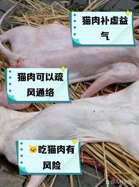 吃猫肉犯法吗_吃猫肉违法吗-第2张图片-山城妙识
