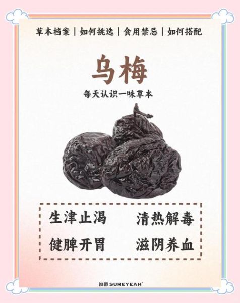 大乌梅的功效与作用_大乌梅怎么吃最好-第1张图片-山城妙识