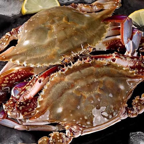 酱母蟹怎么做_酱母蟹最正宗的做法-第3张图片-山城妙识 酱母蟹怎么做_酱母蟹最正宗的做法-第3张图片-山城妙识