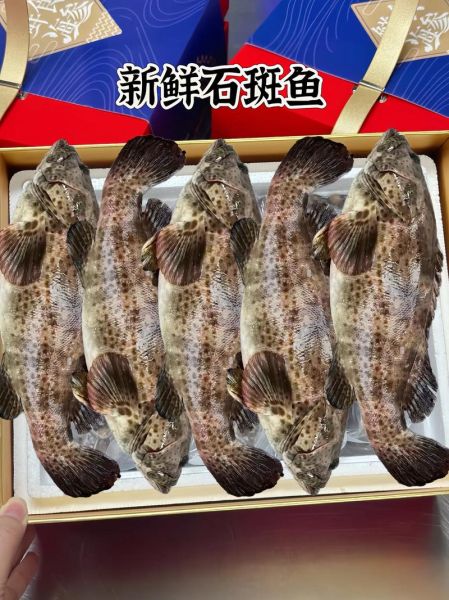 小石斑鱼怎么做好吃_小石斑鱼清蒸还是红烧-第3张图片-山城妙识 小石斑鱼怎么做好吃_小石斑鱼清蒸还是红烧-第3张图片-山城妙识