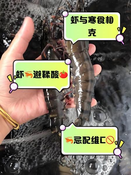 虾和什么食物相克不能吃_虾不能和什么一起吃-第3张图片-山城妙识