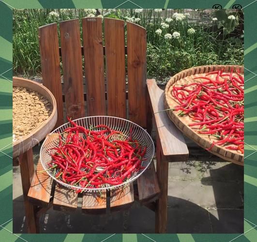 农家豆瓣酱怎么做_自制豆瓣酱保存多久-第1张图片-山城妙识 农家豆瓣酱怎么做_自制豆瓣酱保存多久-第1张图片-山城妙识