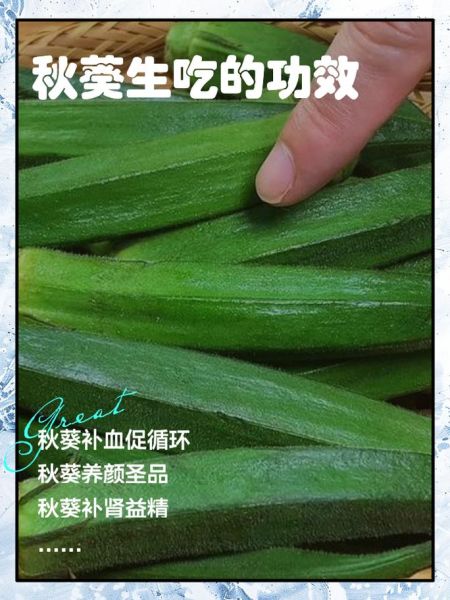 生吃秋葵的功效与作用_秋葵可以生吃吗-第1张图片-山城妙识