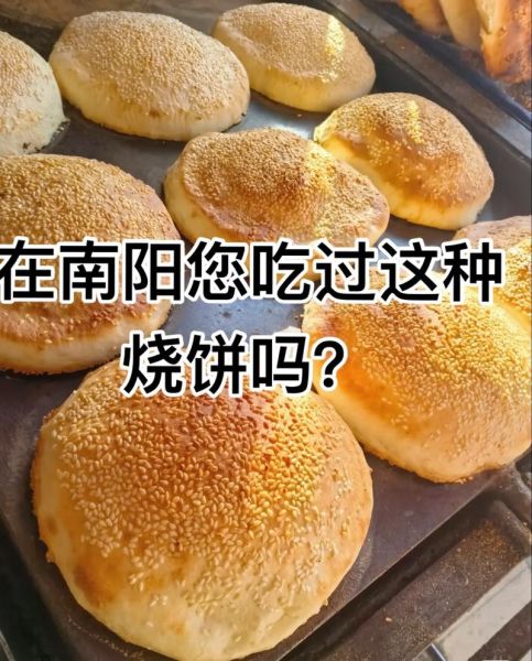 五香烤饼怎么做_五香烤饼的做法大全-第1张图片-山城妙识 五香烤饼怎么做_五香烤饼的做法大全-第1张图片-山城妙识