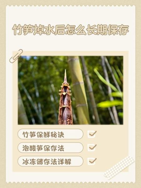 新鲜冬笋需要焯水吗_冬笋焯水正确方法-第3张图片-山城妙识 新鲜冬笋需要焯水吗_冬笋焯水正确方法-第3张图片-山城妙识