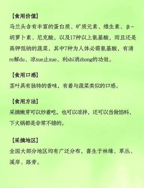 马兰头营养价值_马兰头怎么吃最营养-第2张图片-山城妙识