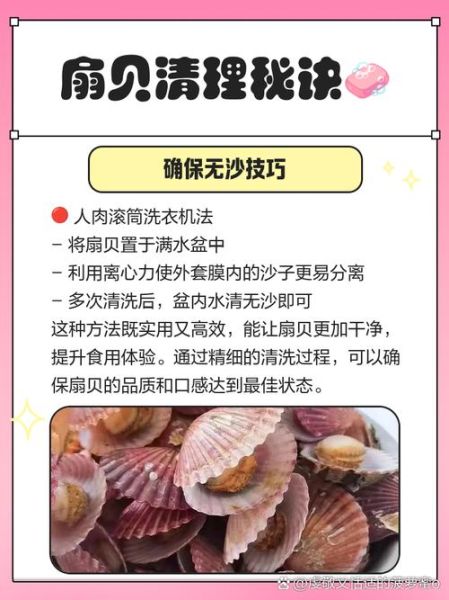 扇贝怎么清洗_扇贝内脏清理方法-第1张图片-山城妙识
