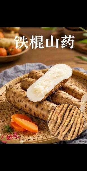 铁棍山药壮阳吗_铁棍山药能提高性功能吗-第2张图片-山城妙识