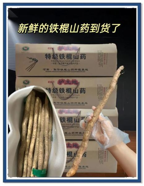 铁棍山药壮阳吗_铁棍山药能提高性功能吗-第1张图片-山城妙识