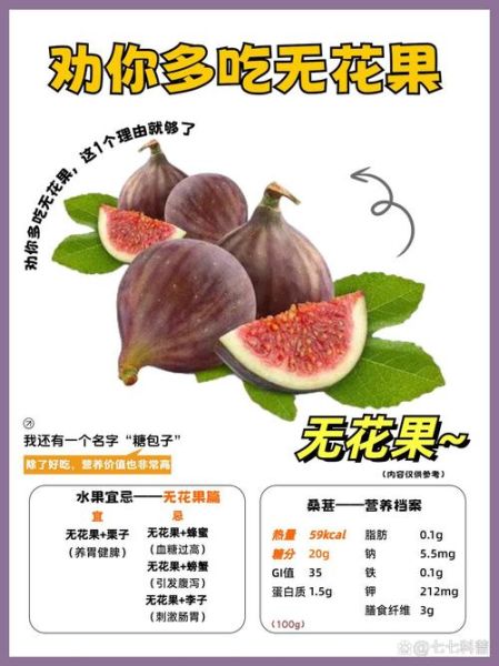 无花果的白汁能治什么_无花果白汁的功效与作用-第3张图片-山城妙识 无花果的白汁能治什么_无花果白汁的功效与作用-第3张图片-山城妙识