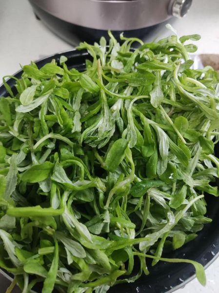 鼠曲草怎么吃止咳_鼠曲草止咳做法大全-第3张图片-山城妙识