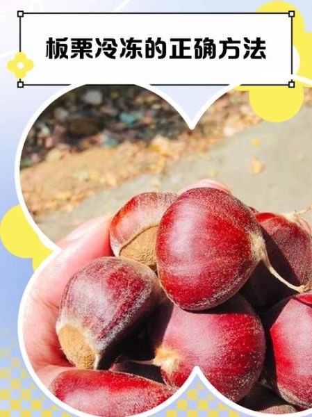 新鲜板栗怎么长期保存_板栗放冰箱能保存多久-第2张图片-山城妙识