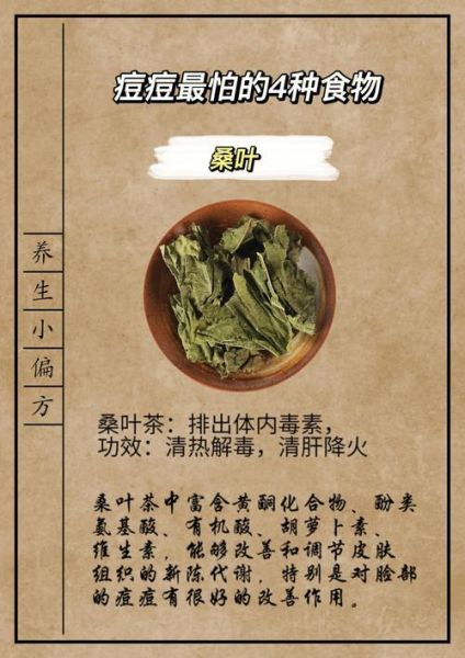 桑叶茶的功效与作用及禁忌_哪些人不能喝-第2张图片-山城妙识