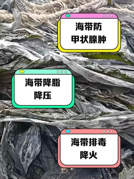 吃海带有什么好处_海带的功效与作用-第3张图片-山城妙识