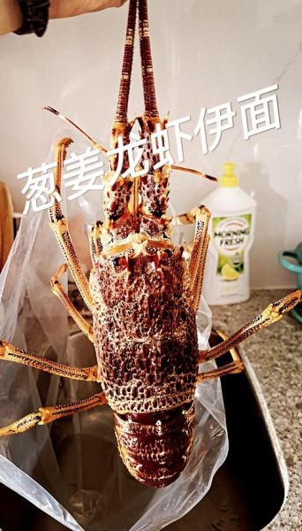 澳洲大龙虾怎么杀_澳洲大龙虾的做法步骤-第1张图片-山城妙识