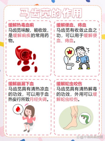 马齿苋对什么病最有效_马齿苋治疗什么病最好-第3张图片-山城妙识