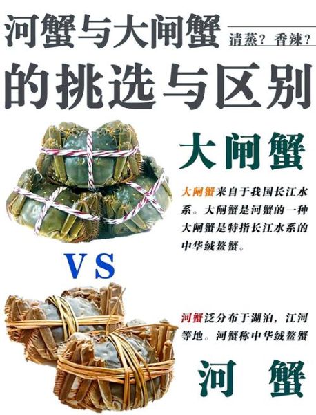 大闸蟹和螃蟹的区别_大闸蟹和普通河蟹怎么区分-第1张图片-山城妙识 大闸蟹和螃蟹的区别_大闸蟹和普通河蟹怎么区分-第1张图片-山城妙识
