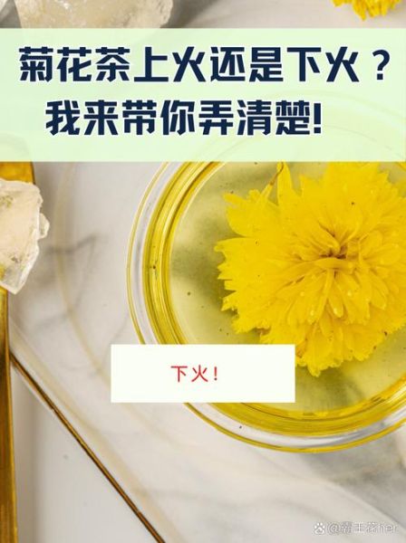 菊花茶上火还是下火_喝菊花茶降火吗-第1张图片-山城妙识 菊花茶上火还是下火_喝菊花茶降火吗-第1张图片-山城妙识