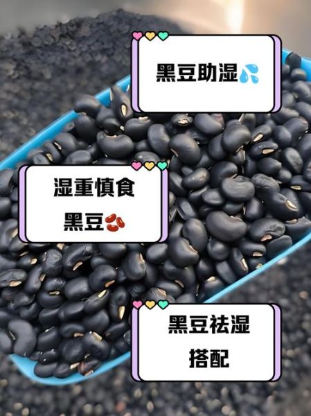 湿气重的人为什么不能吃黑豆_湿气重饮食禁忌-第3张图片-山城妙识 湿气重的人为什么不能吃黑豆_湿气重饮食禁忌-第3张图片-山城妙识