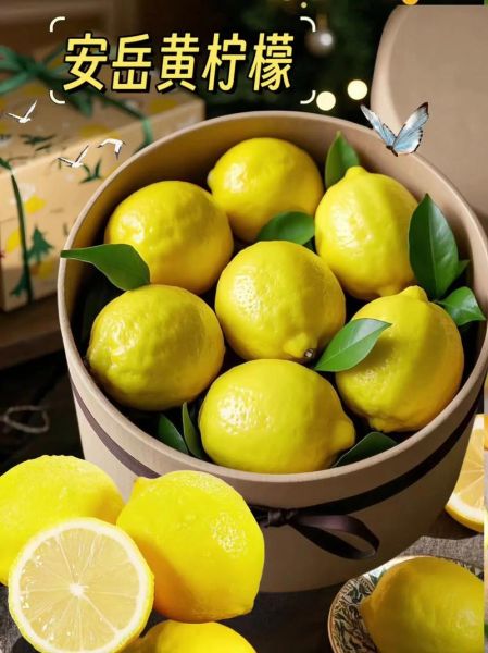 新鲜柠檬怎么吃_新鲜柠檬的吃法大全-第3张图片-山城妙识