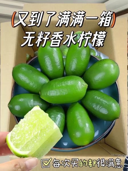 新鲜柠檬怎么吃_新鲜柠檬的吃法大全-第2张图片-山城妙识