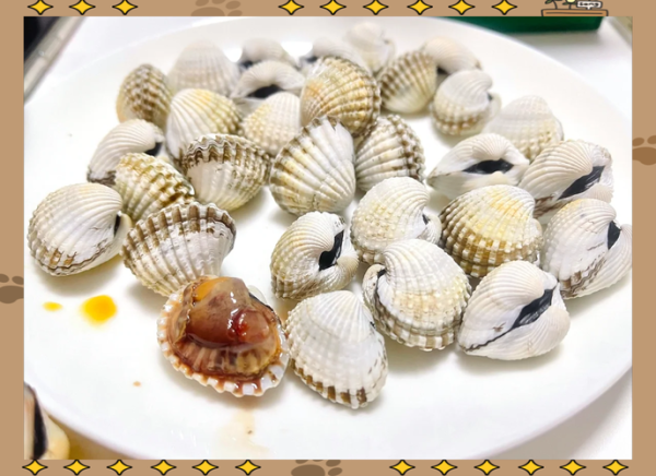 蚶子肉怎么清洗_蚶子肉有哪些吃法-第1张图片-山城妙识 蚶子肉怎么清洗_蚶子肉有哪些吃法-第1张图片-山城妙识