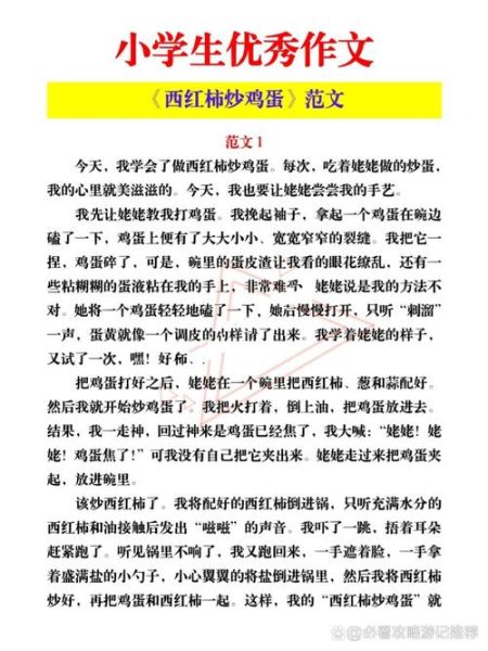 番茄炒蛋作文怎么写_番茄炒蛋作文开头怎么写-第1张图片-山城妙识