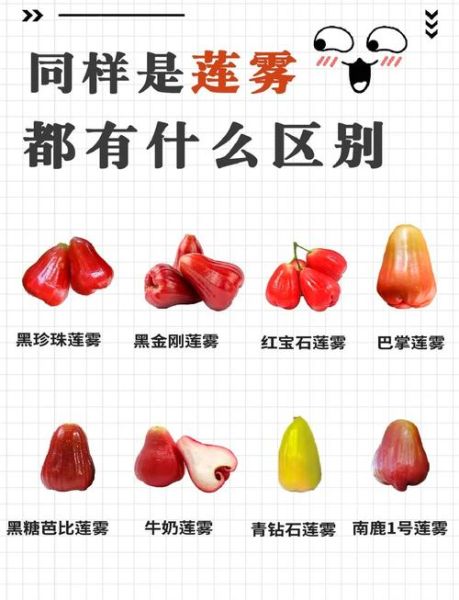 释迦果和莲雾的区别_哪个营养价值更高-第3张图片-山城妙识