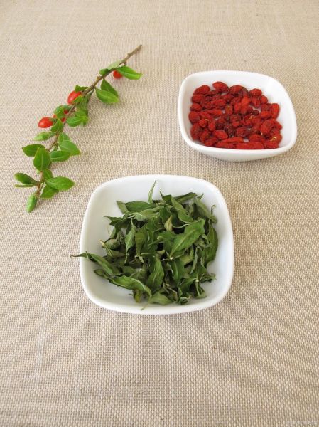 枸杞叶茶的功效与作用_枸杞叶茶可以天天喝吗-第3张图片-山城妙识