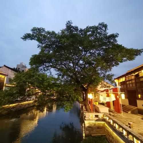 青果巷历史文化街区值得去吗_青果巷有什么好玩的-第3张图片-山城妙识