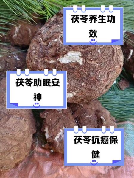 茯苓块的功效与作用_茯苓块主治哪些疾病-第3张图片-山城妙识